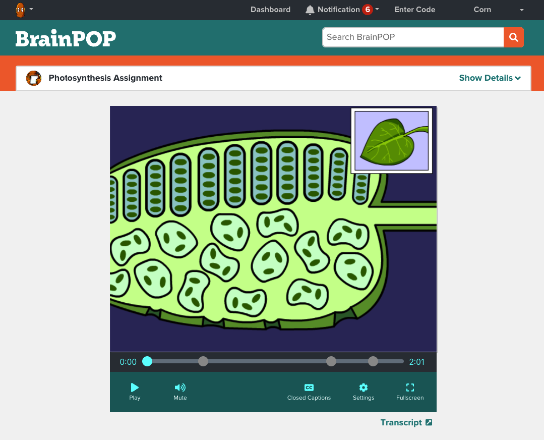 Student Assignments – Help Center